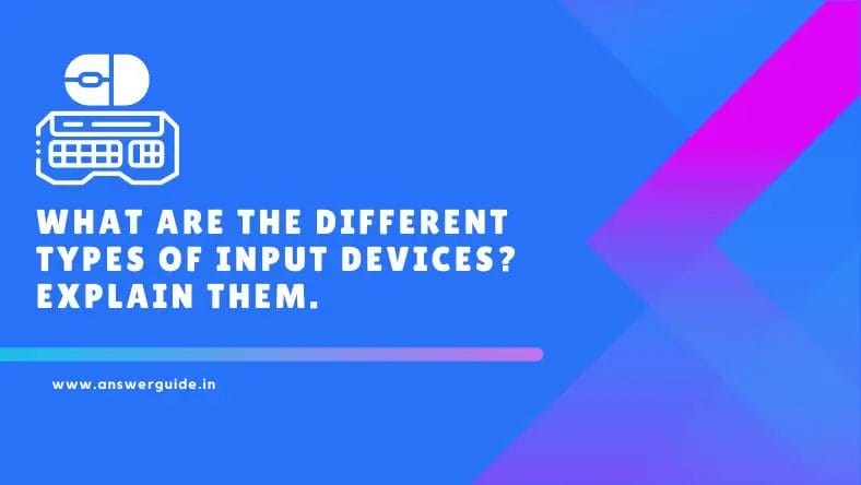 What are the Different Types of Input Devices?